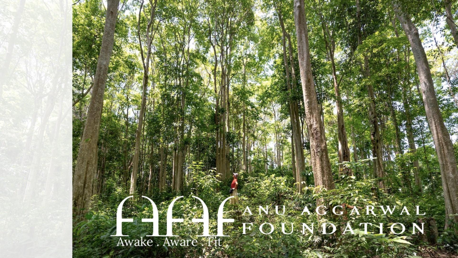 How Nature Impact our Wellbeing? | Anu Aggarwal Foundation